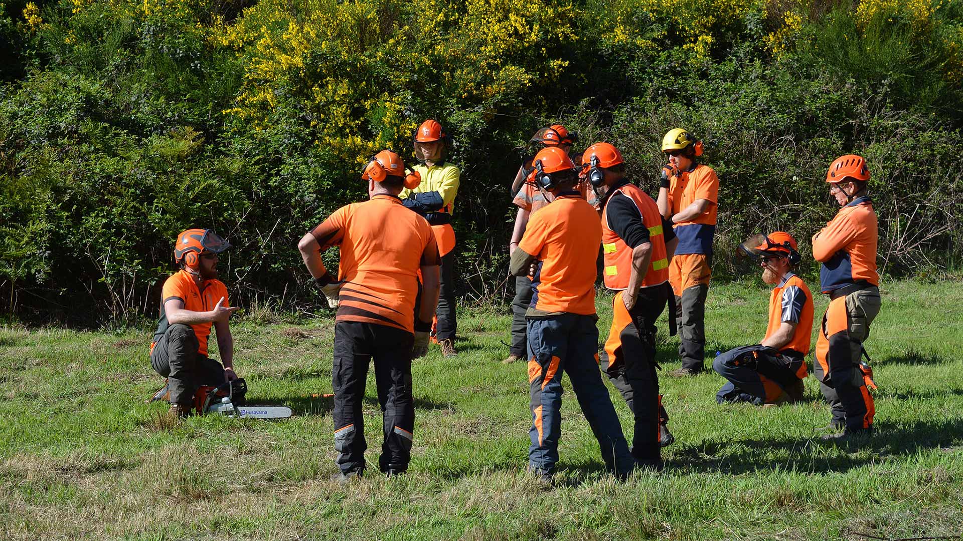 Training | Embark Tree Services